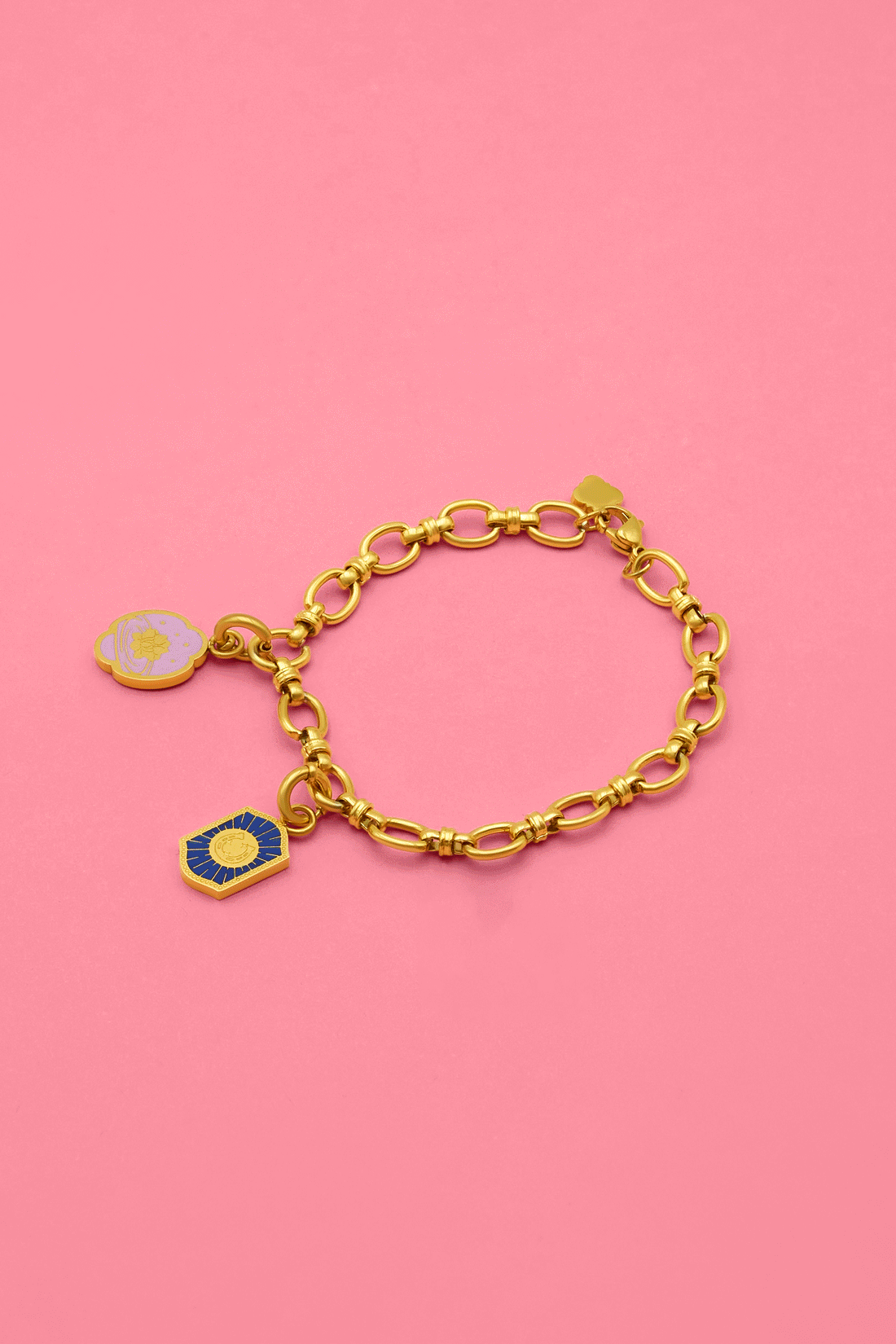 Signature Link Bracelet - Double Charm Set – Carisma Collections